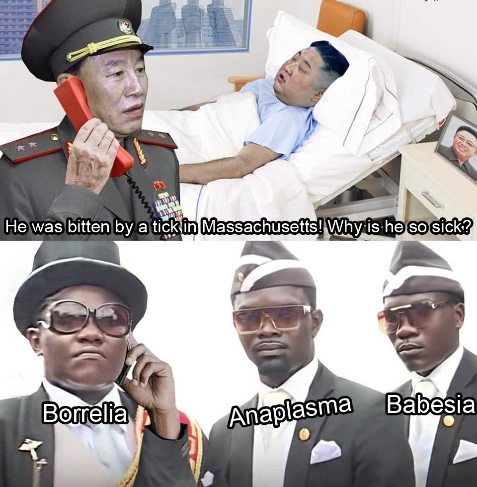 tick tock times running out | Scrolller