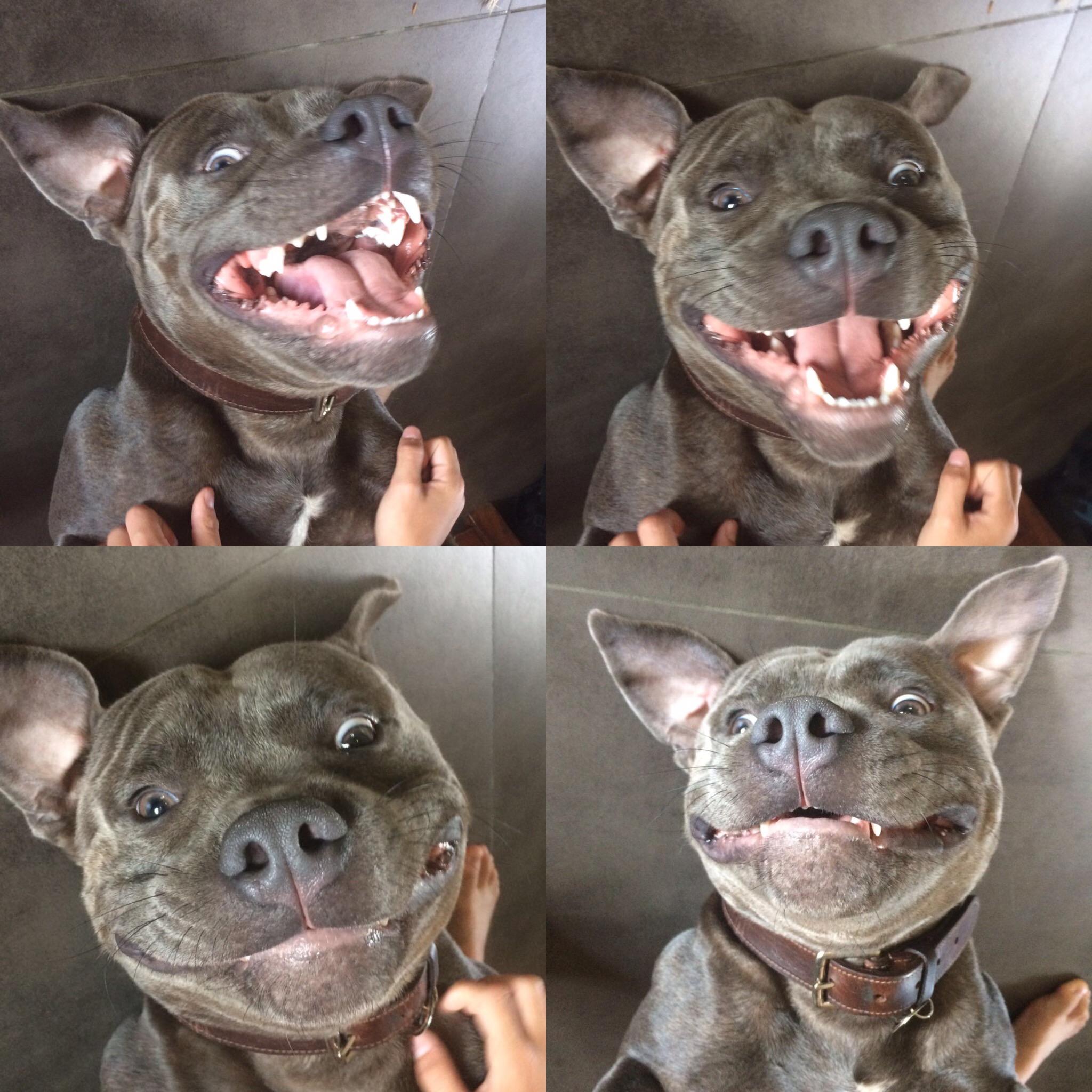 Tickle time! | Scrolller