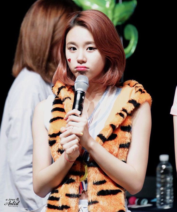 Tiger cub | Scrolller