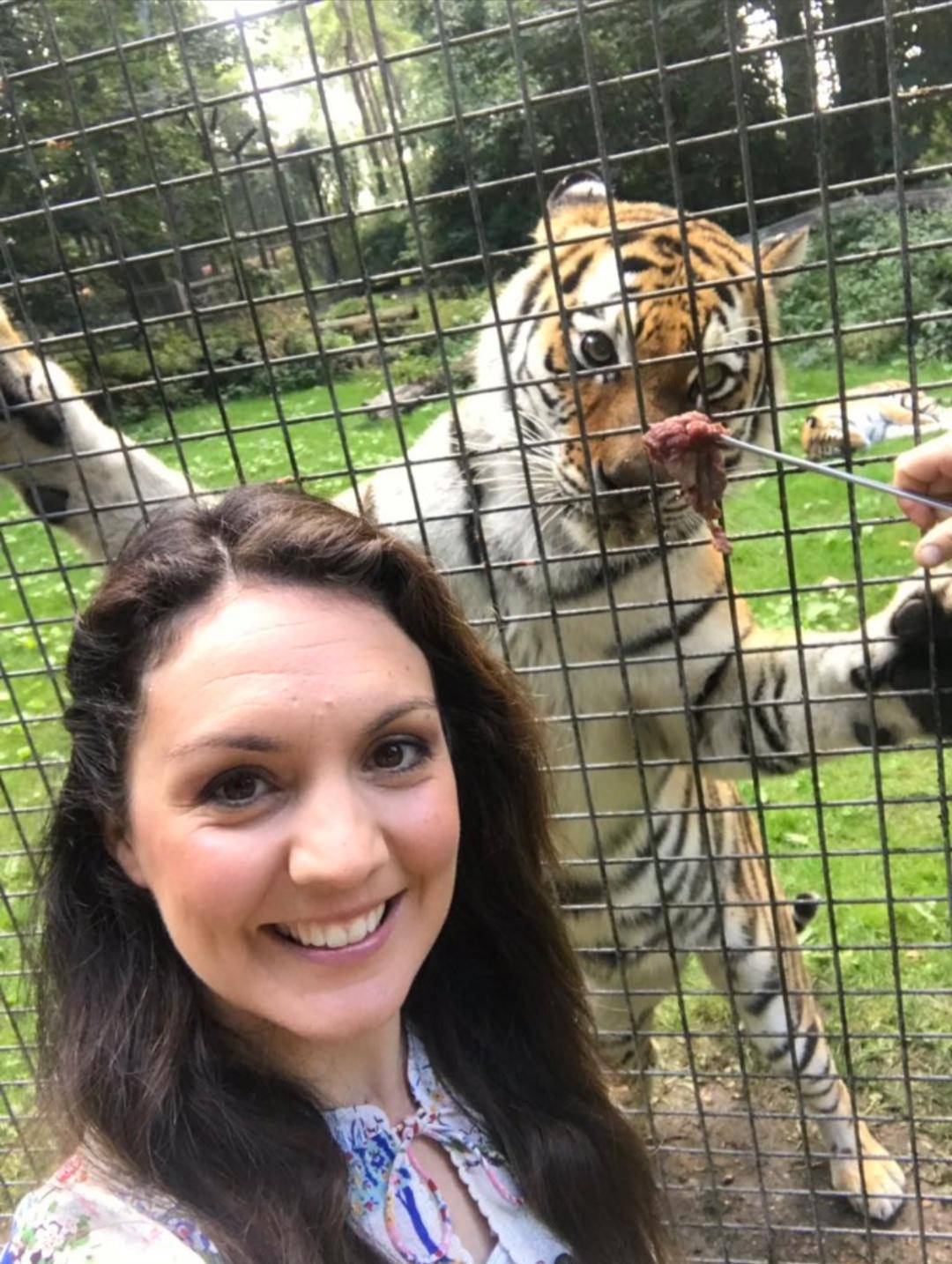 Tiger Selfie | Scrolller
