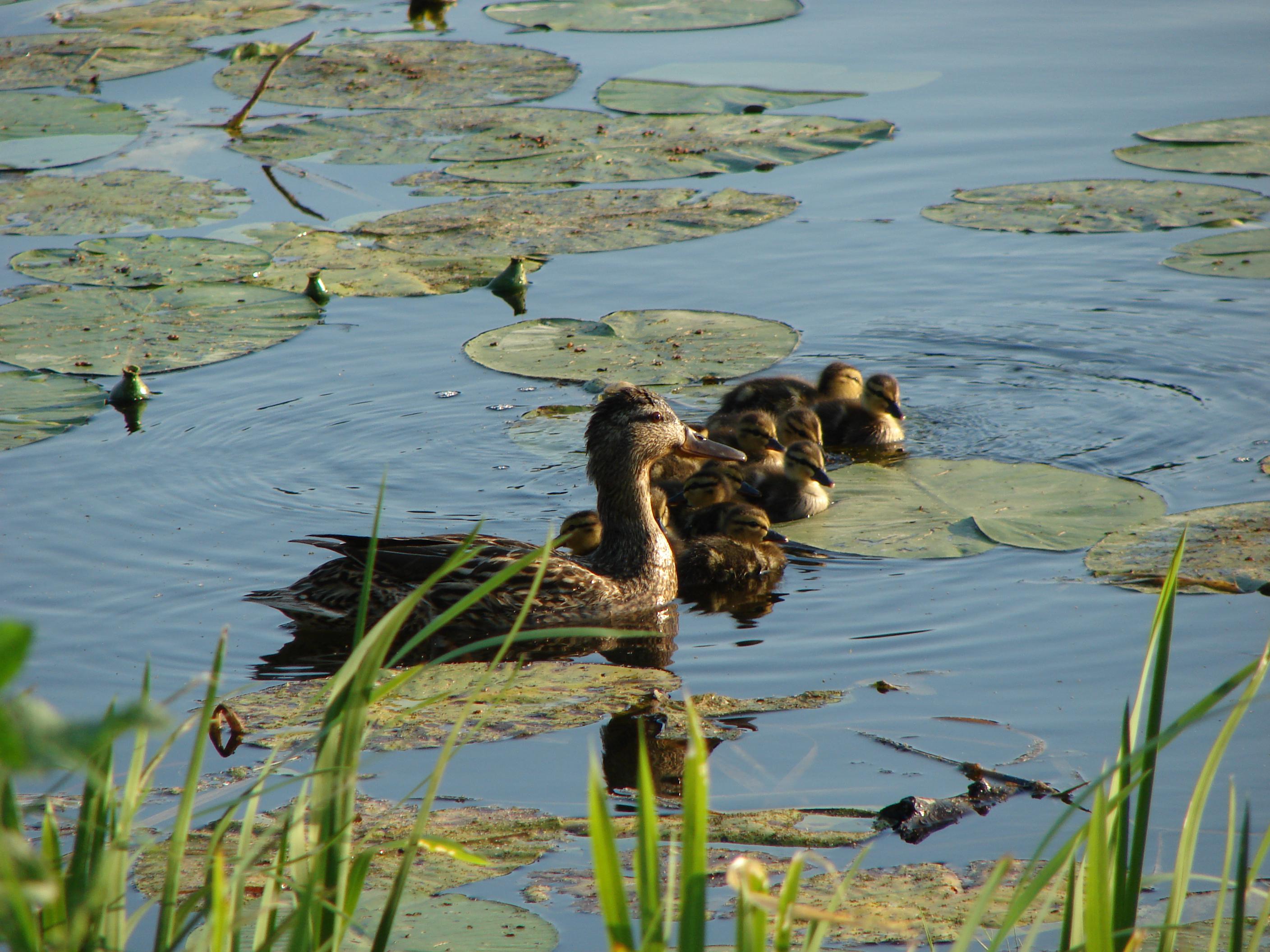 Tight formation | Scrolller