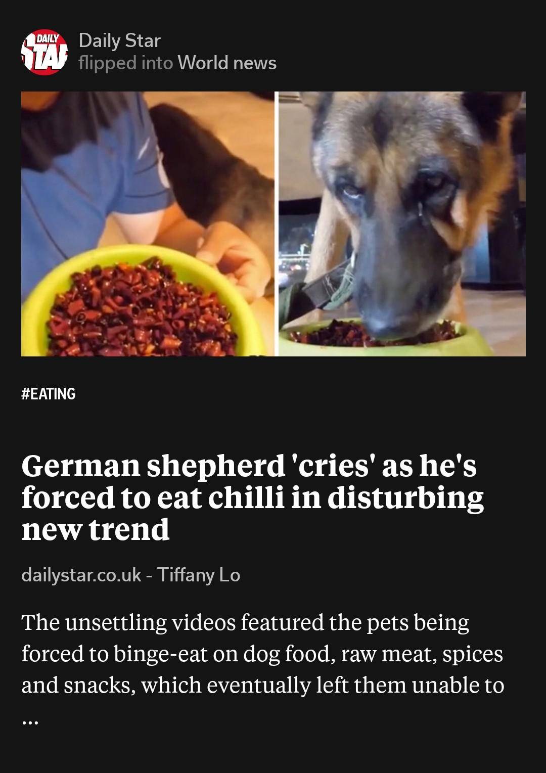 Tiktok must be stopped..... | Scrolller