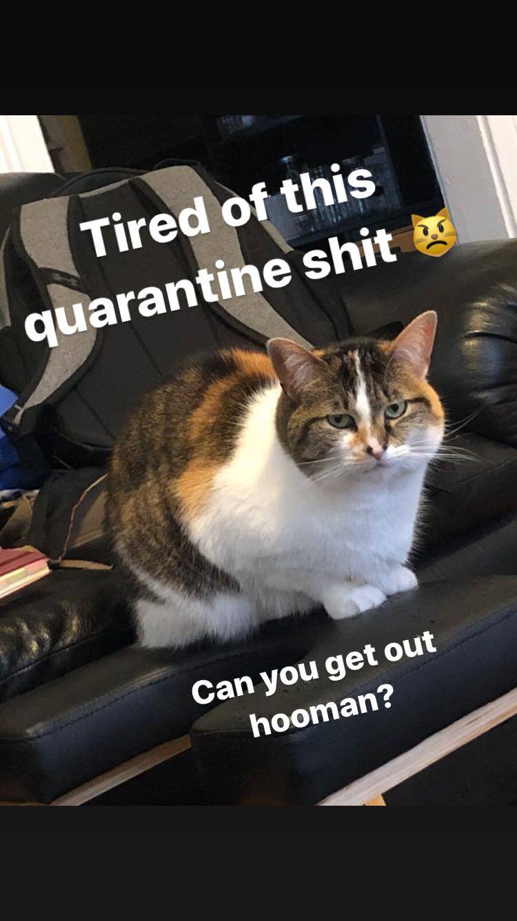 Time to go people. | Scrolller