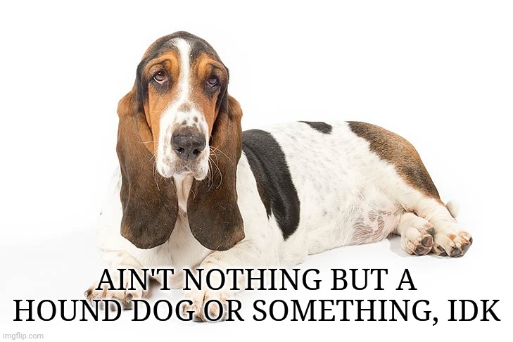 Times new Roman > Impact | Scrolller