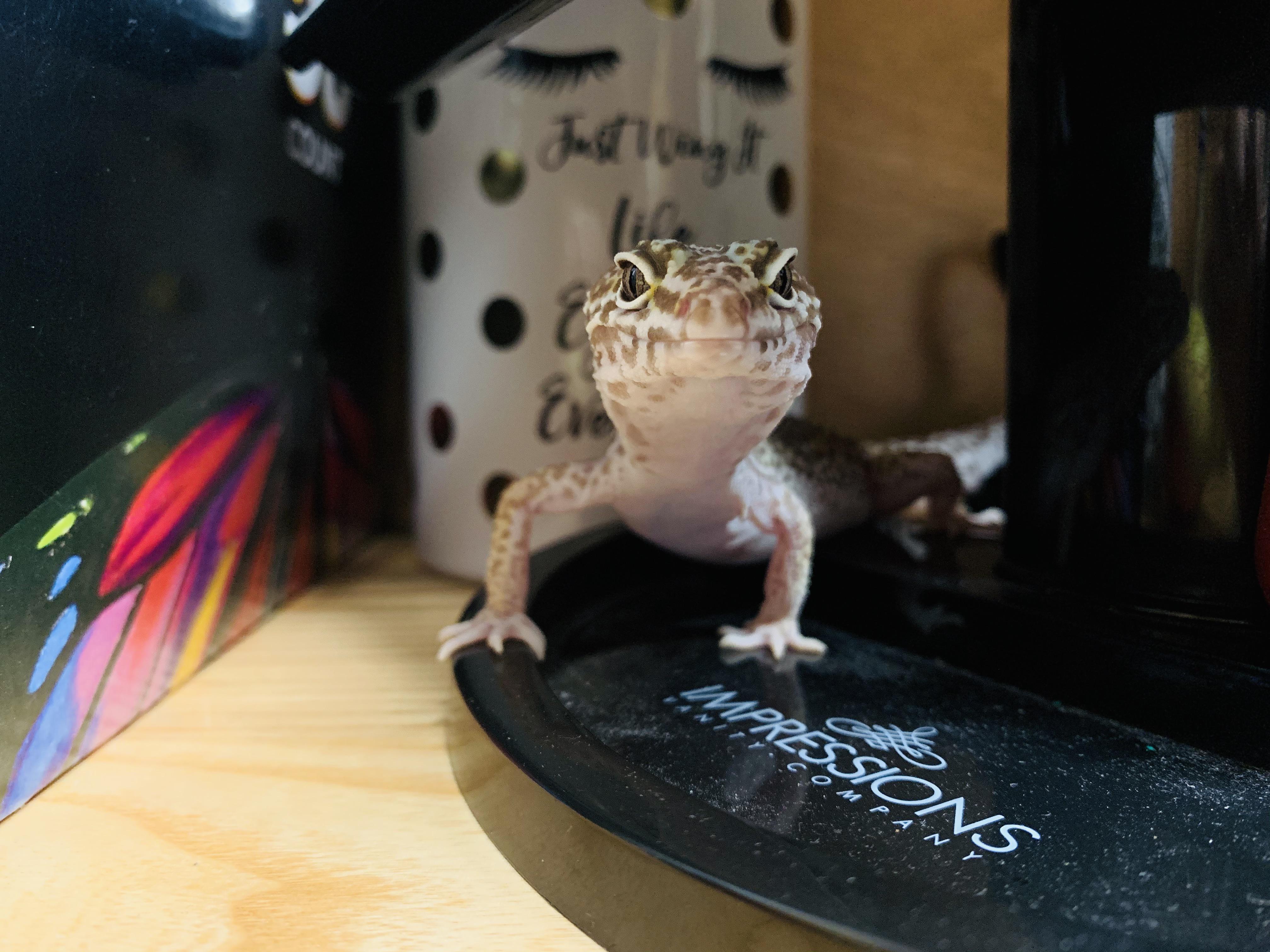 Tiny bean ️ | Scrolller