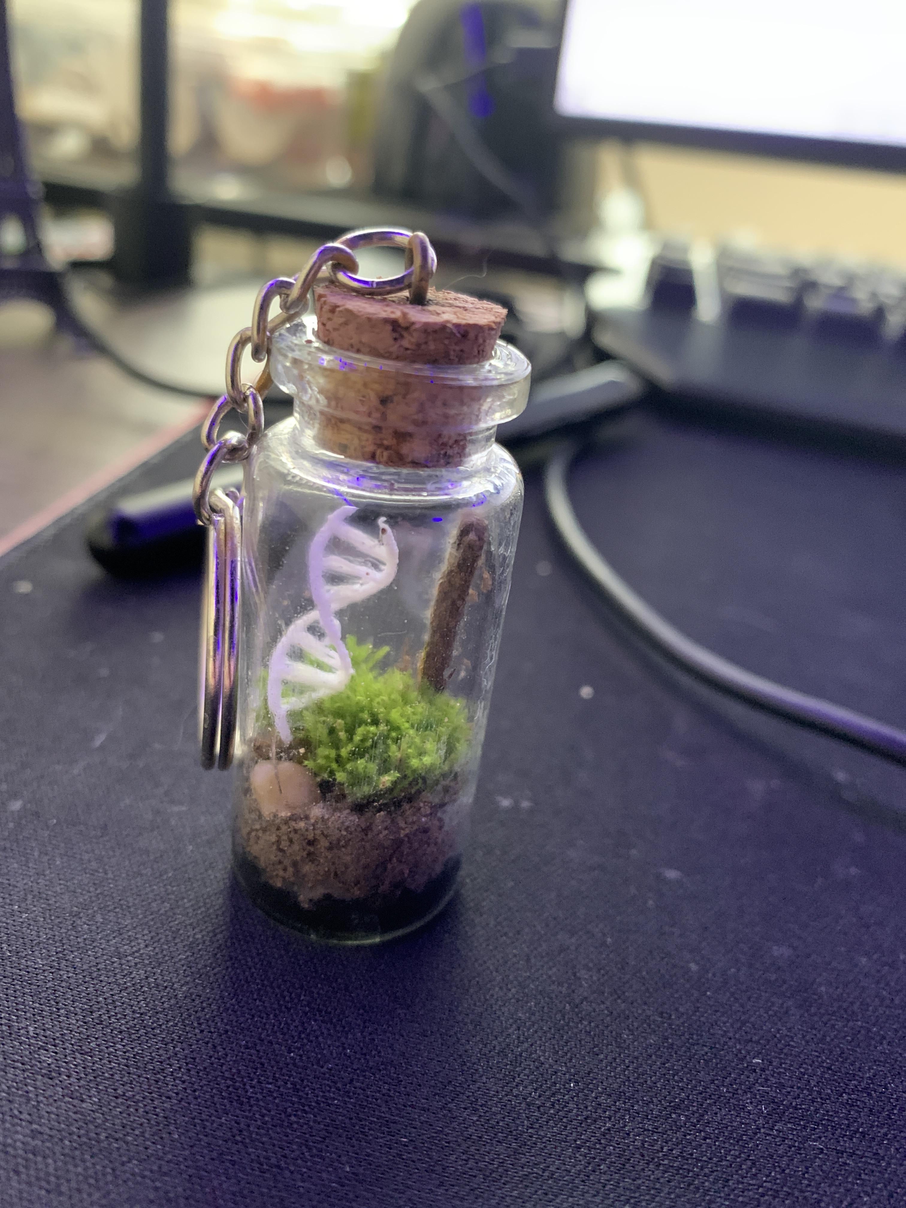 Tiny boi | Scrolller