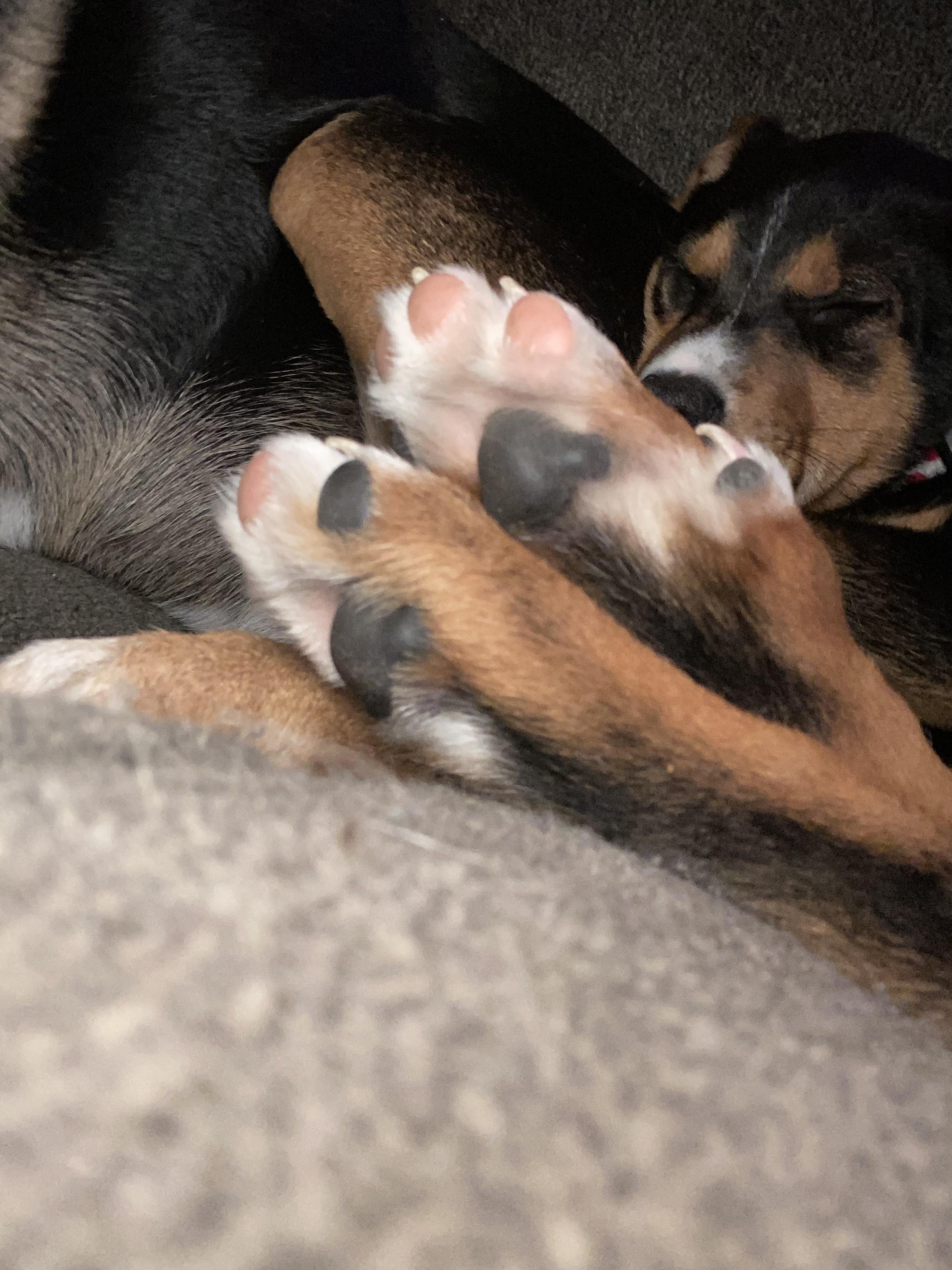 Tiny toe | Scrolller