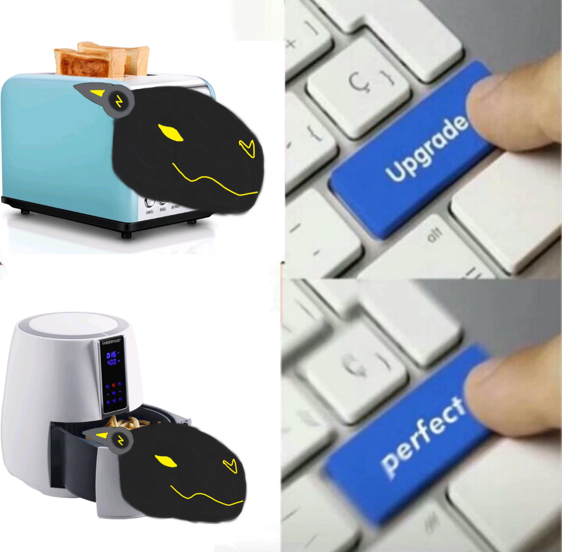 Toaster_irl | Scrolller