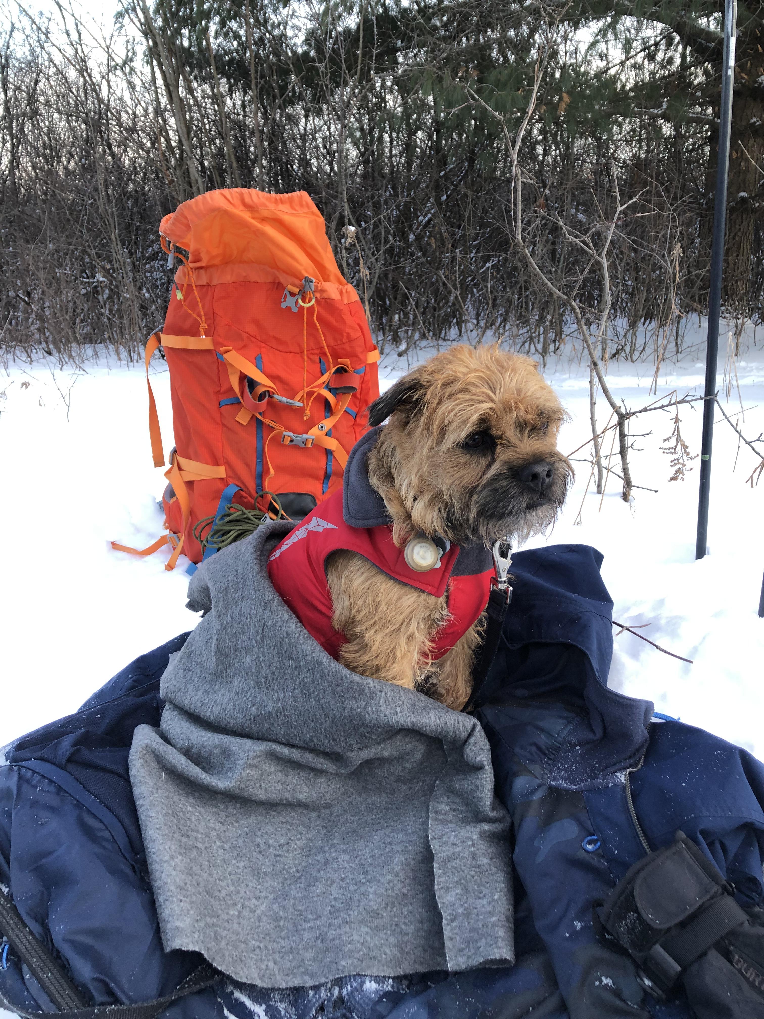Toby keeping warm during a winter hike. | Scrolller