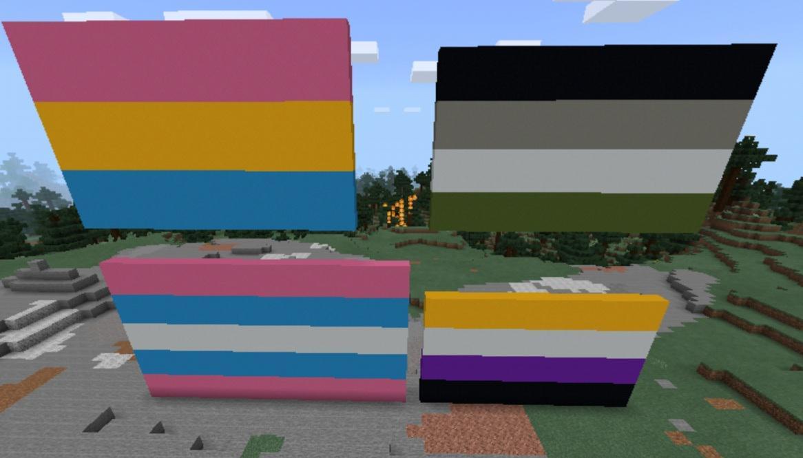 Today is Trans Day of Visibility so Here are All My Flags IG | Scrolller