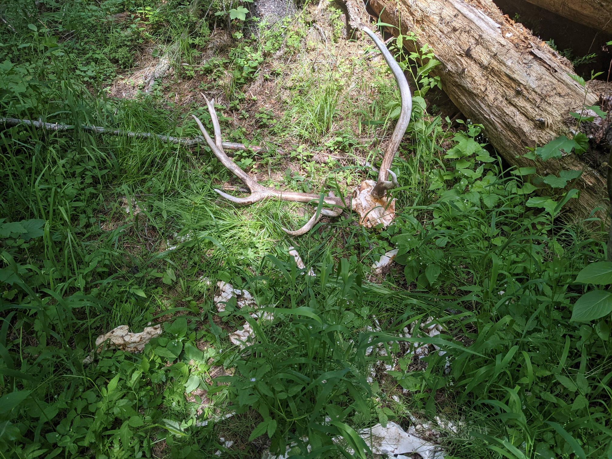 Today's big score | Scrolller