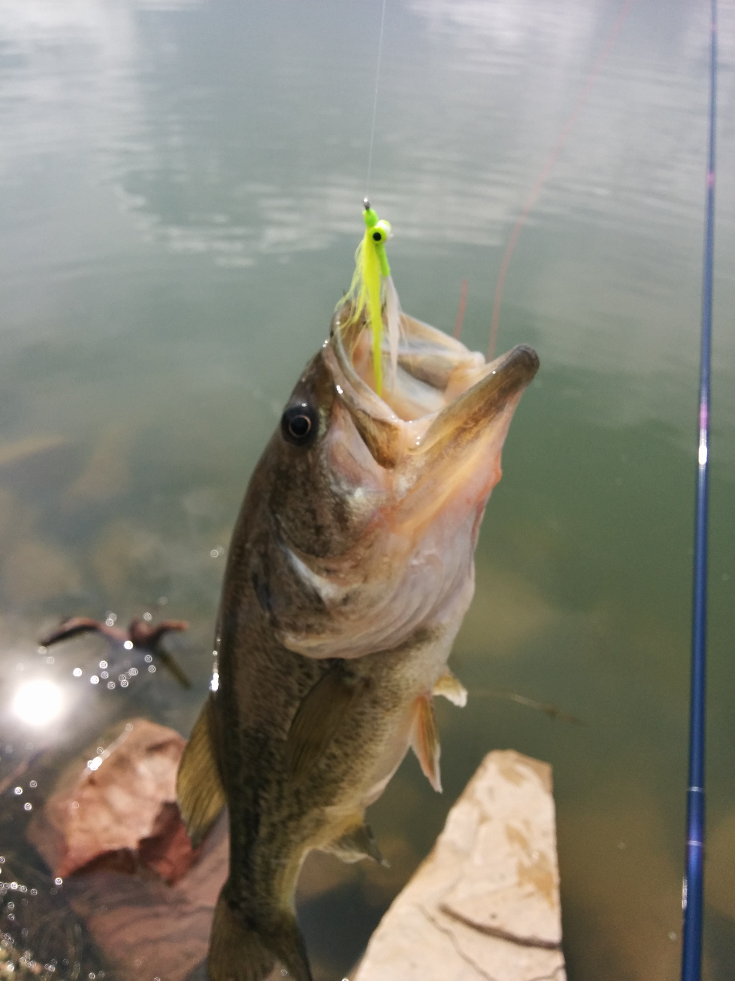 Today's practice was productive. | Scrolller