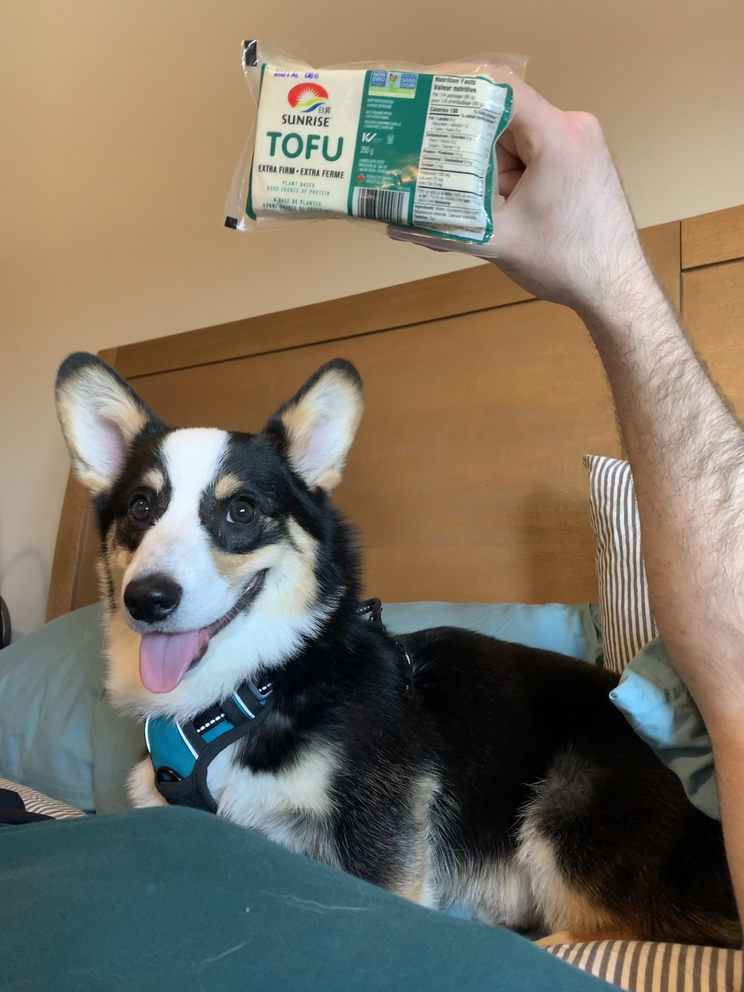 Tofu squared! | Scrolller