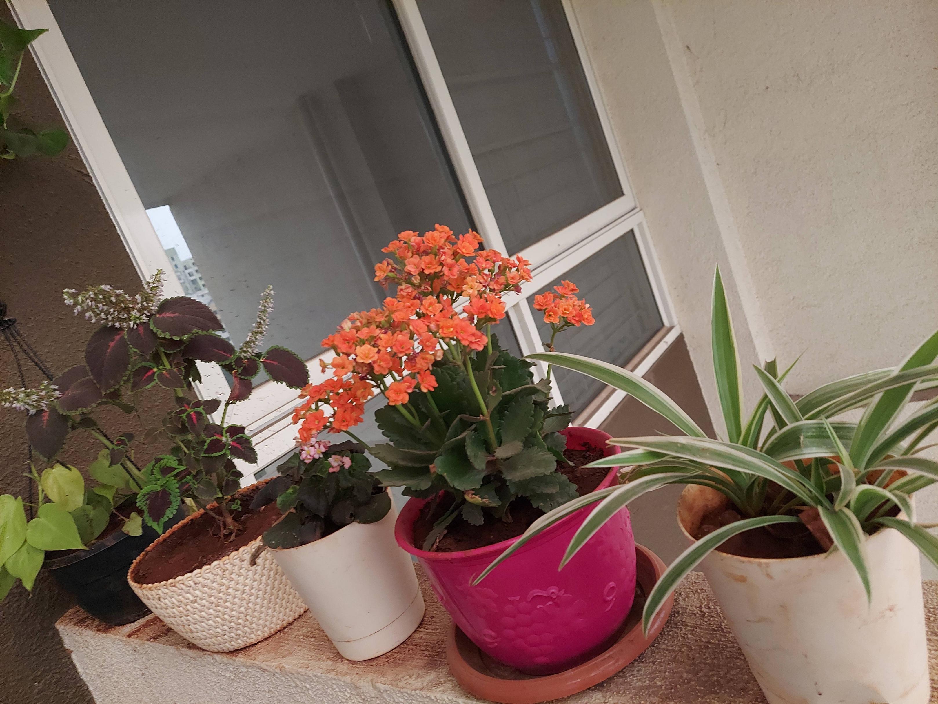 Together we grow stronger | Scrolller