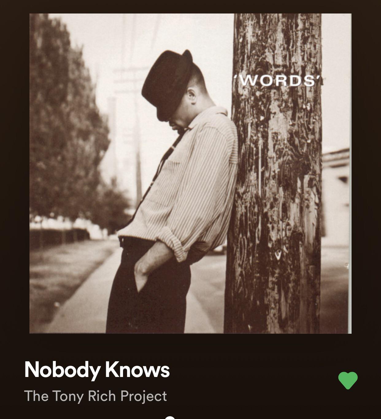 Tony Rich Project Nobody Knows Scrolller