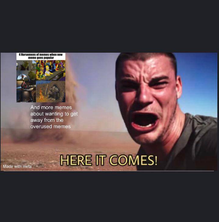 Too meta for its own good | Scrolller