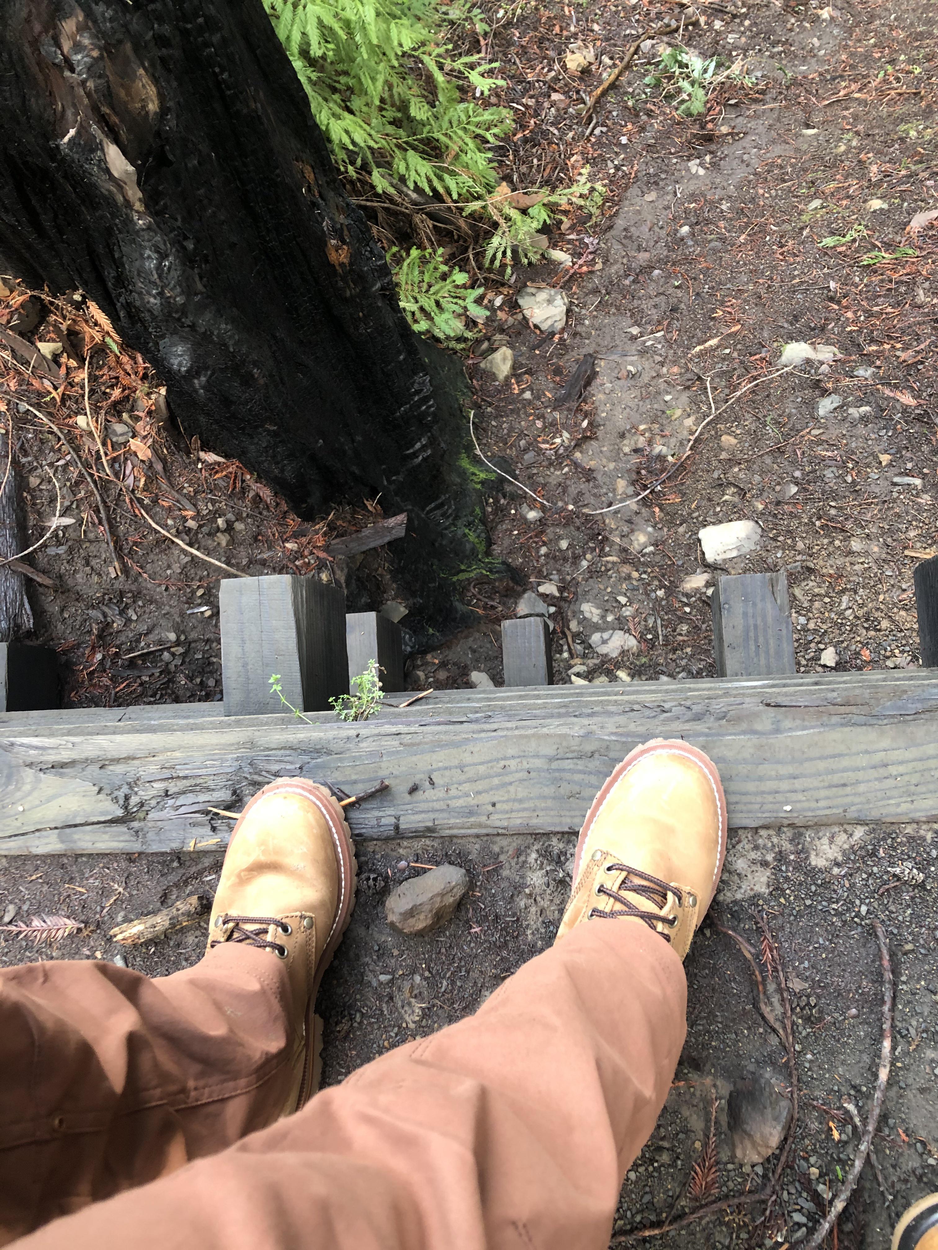 Took my Adtec Loggers to Big Sur | Scrolller