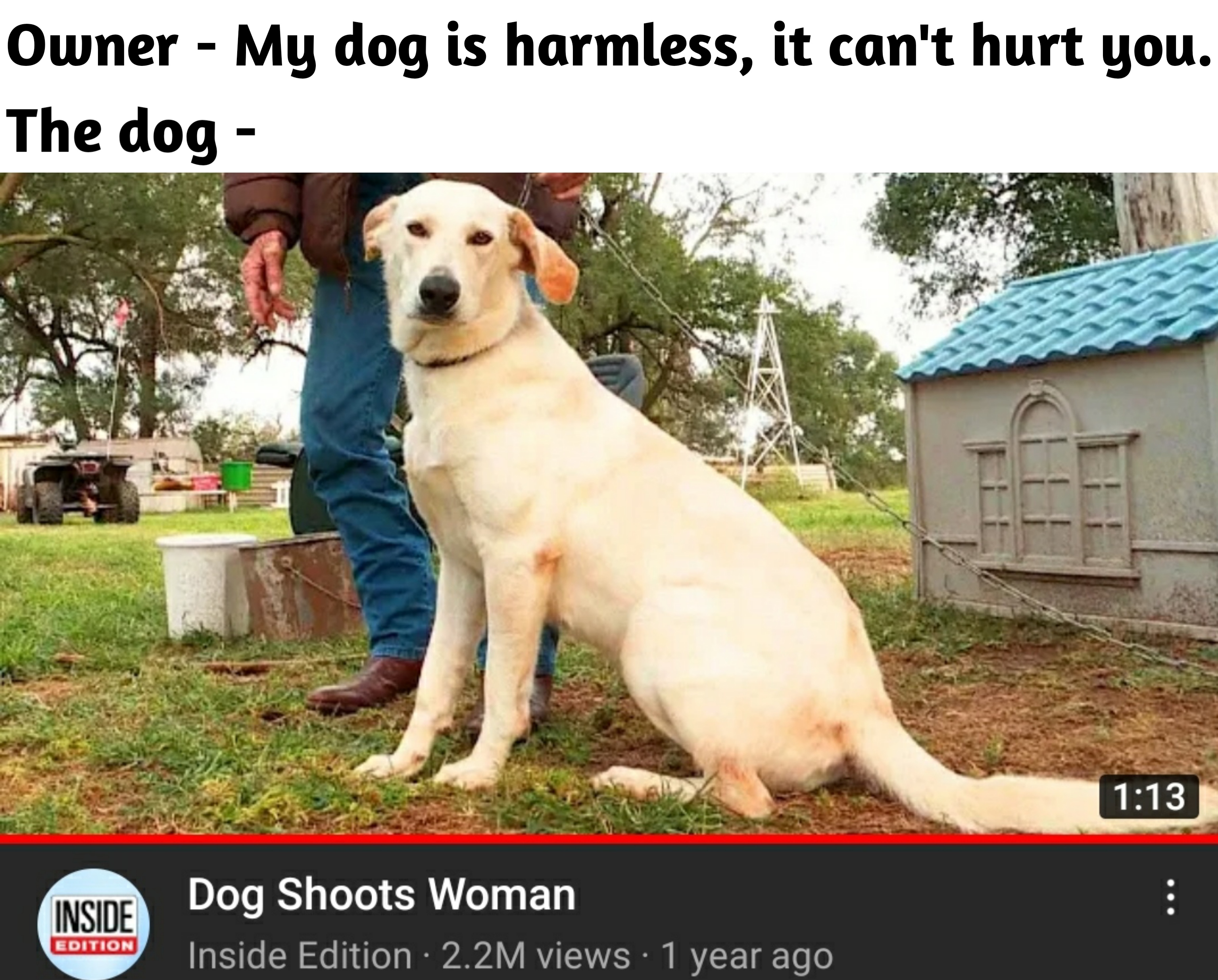 Totally harmless | Scrolller