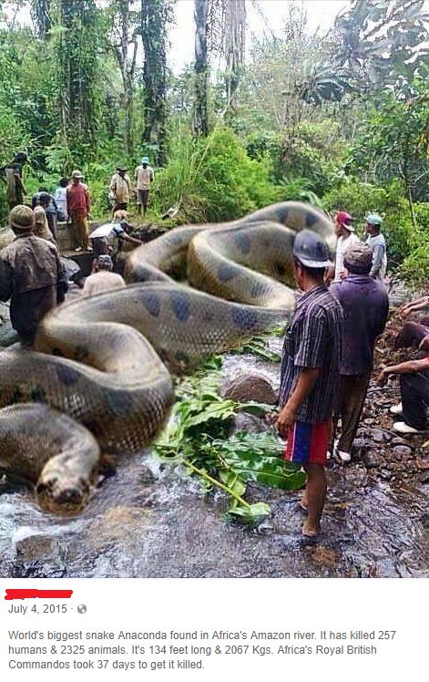 Totally real snek | Scrolller