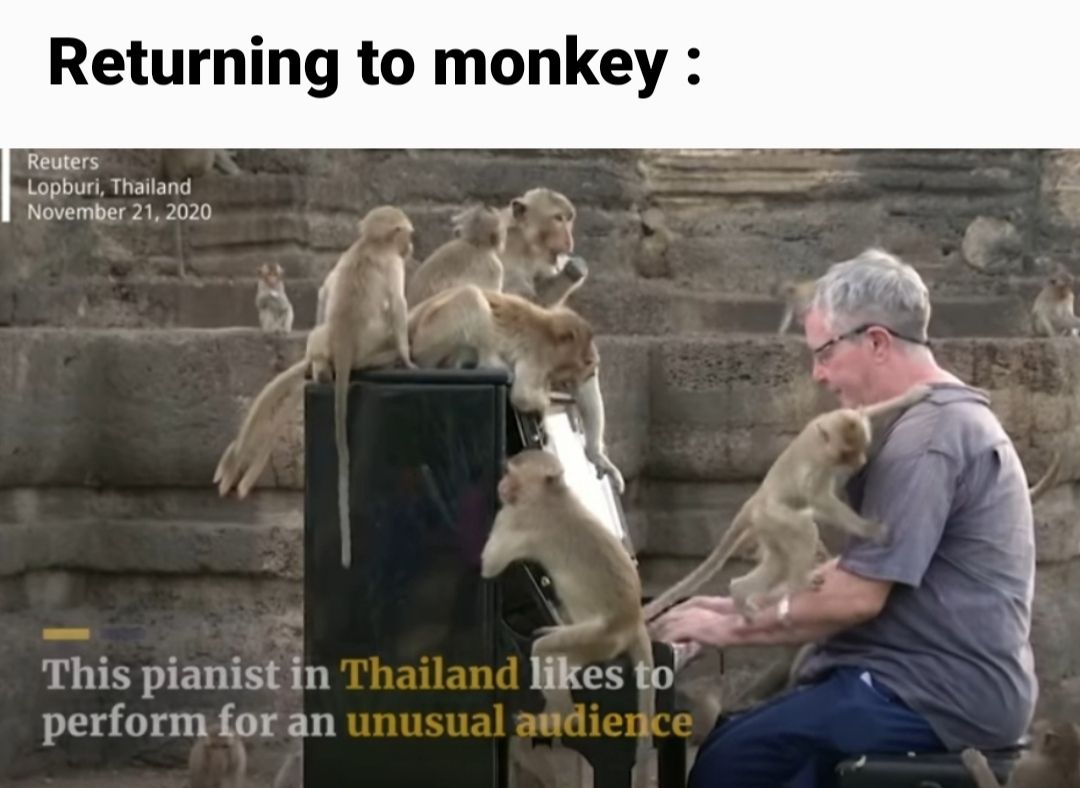 Tough crowd | Scrolller