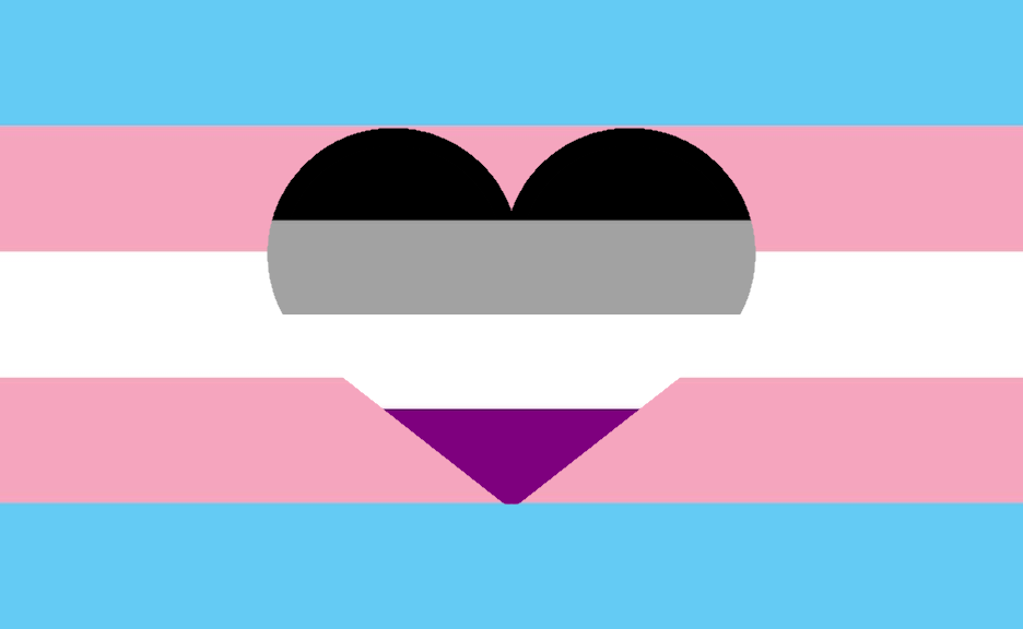 Trans/Ace flag | Scrolller