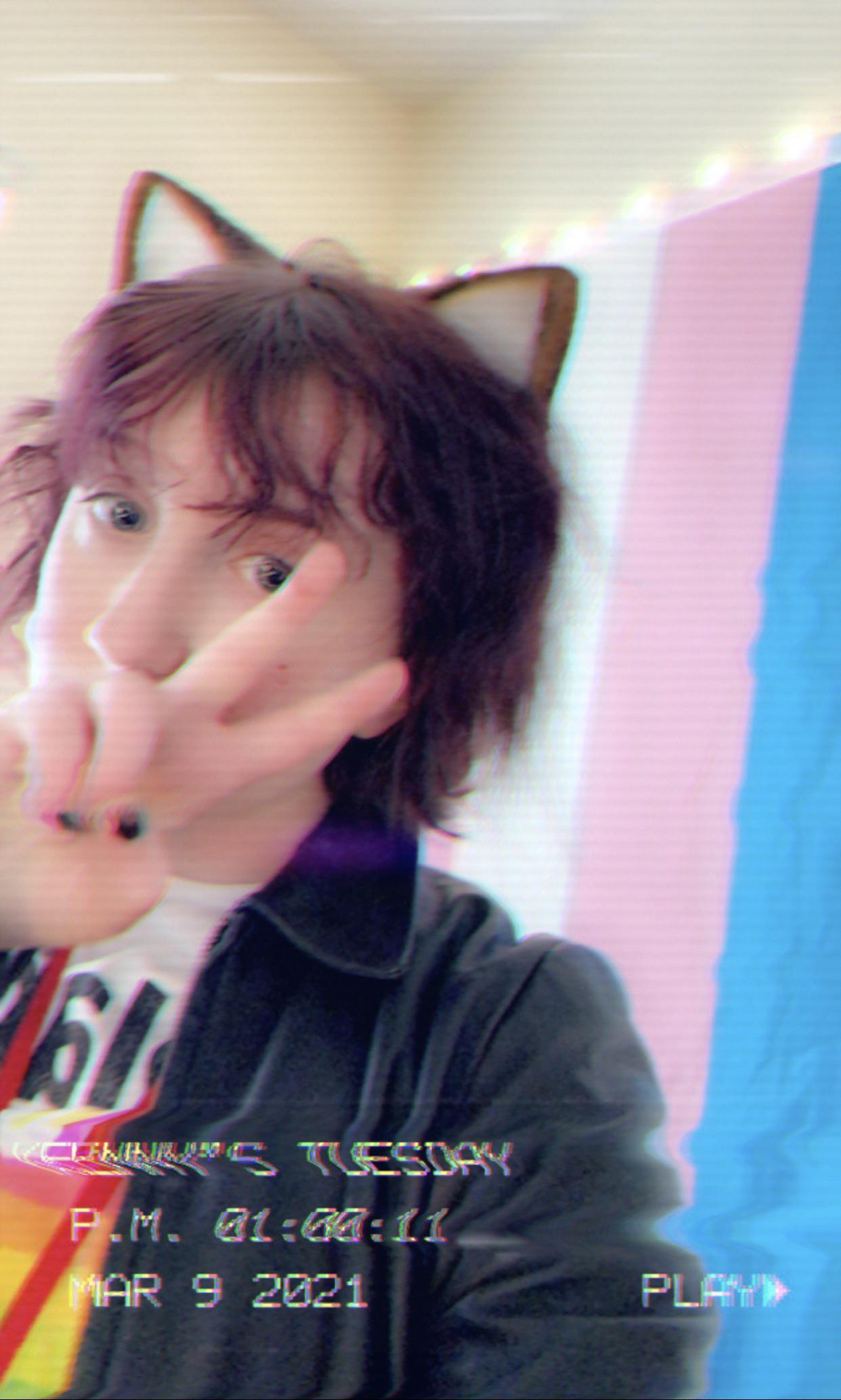 Trans catboys are underappreciated | Scrolller