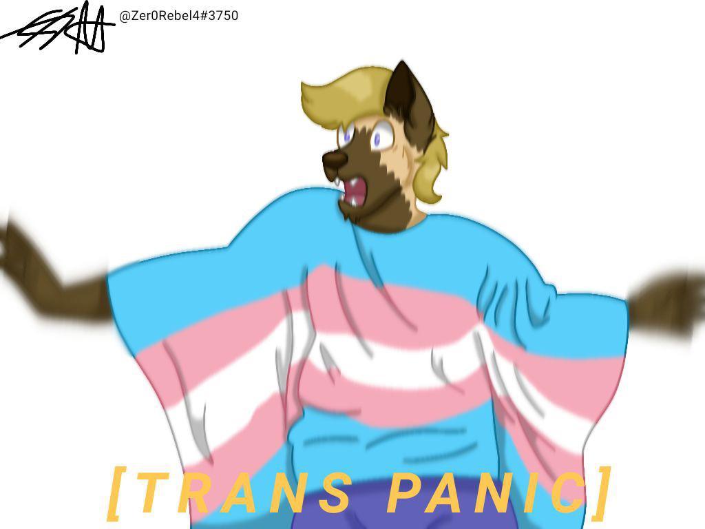 Trans_irl | Scrolller