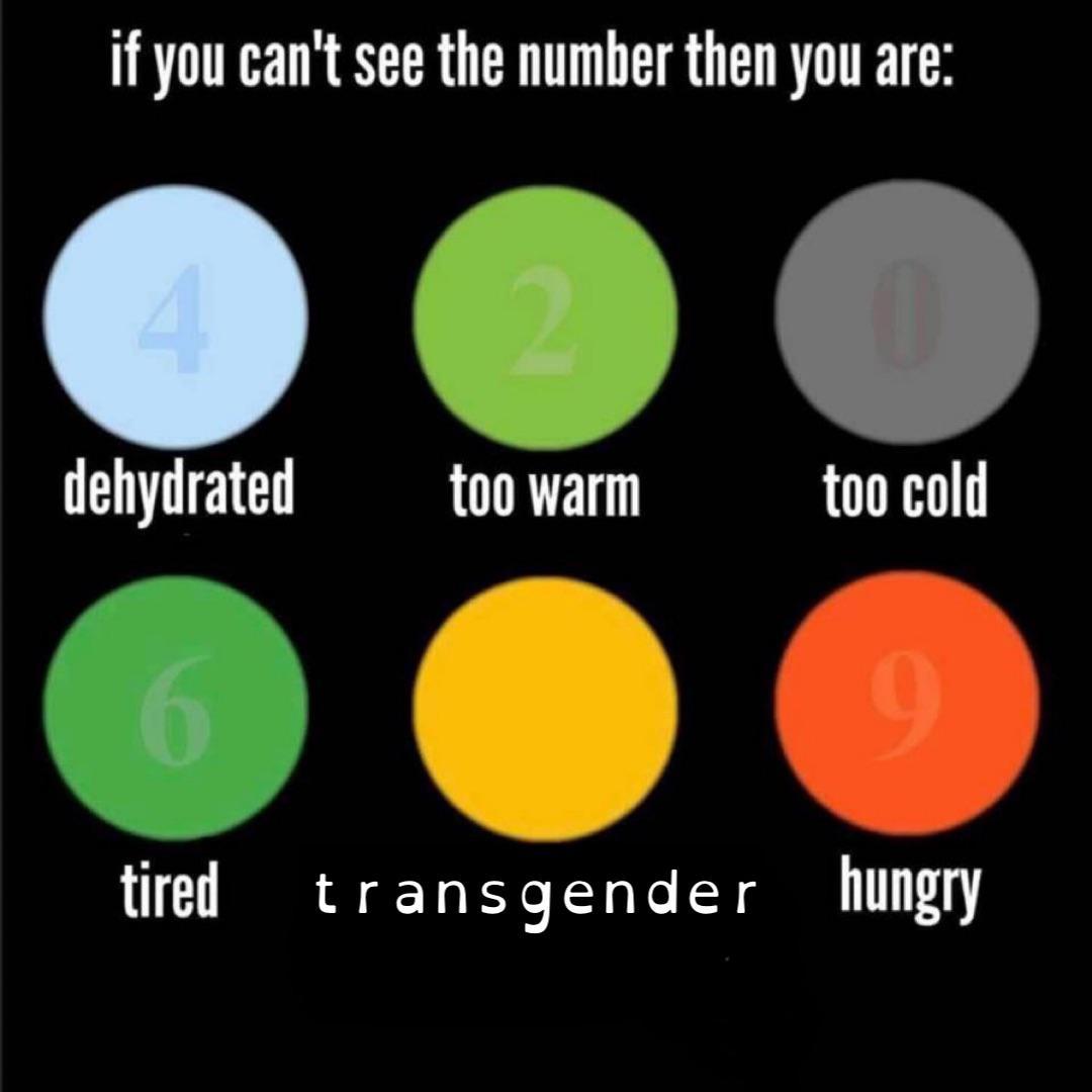 transgender | Scrolller