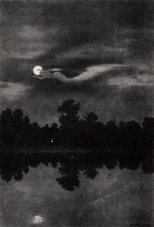 Trees at night by Art Young | Scrolller