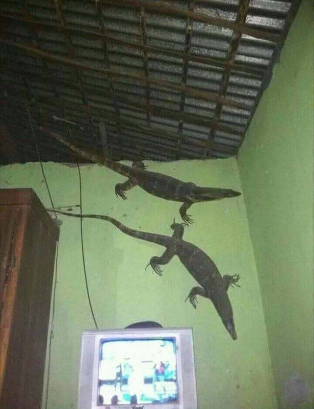 Triple monitor setup | Scrolller