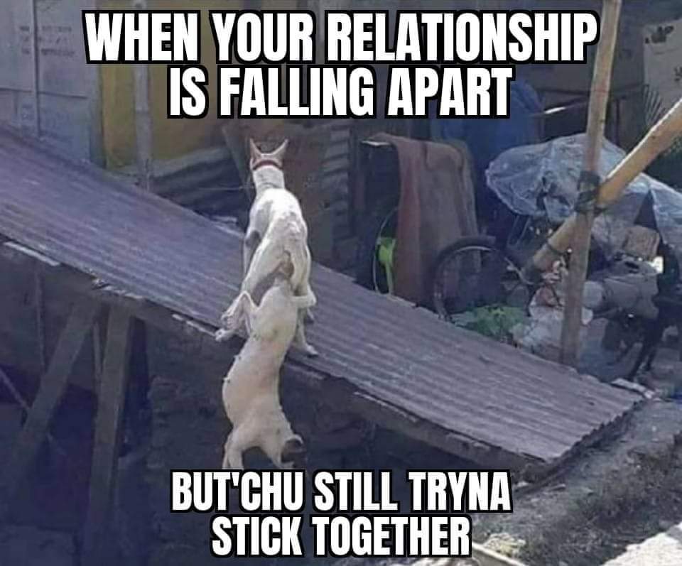 Try Stay solid | Scrolller