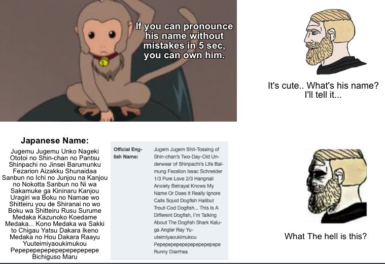 Try to own him.... | Scrolller