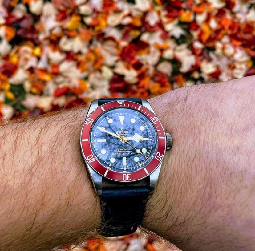 Tudor Black Bay | Scrolller