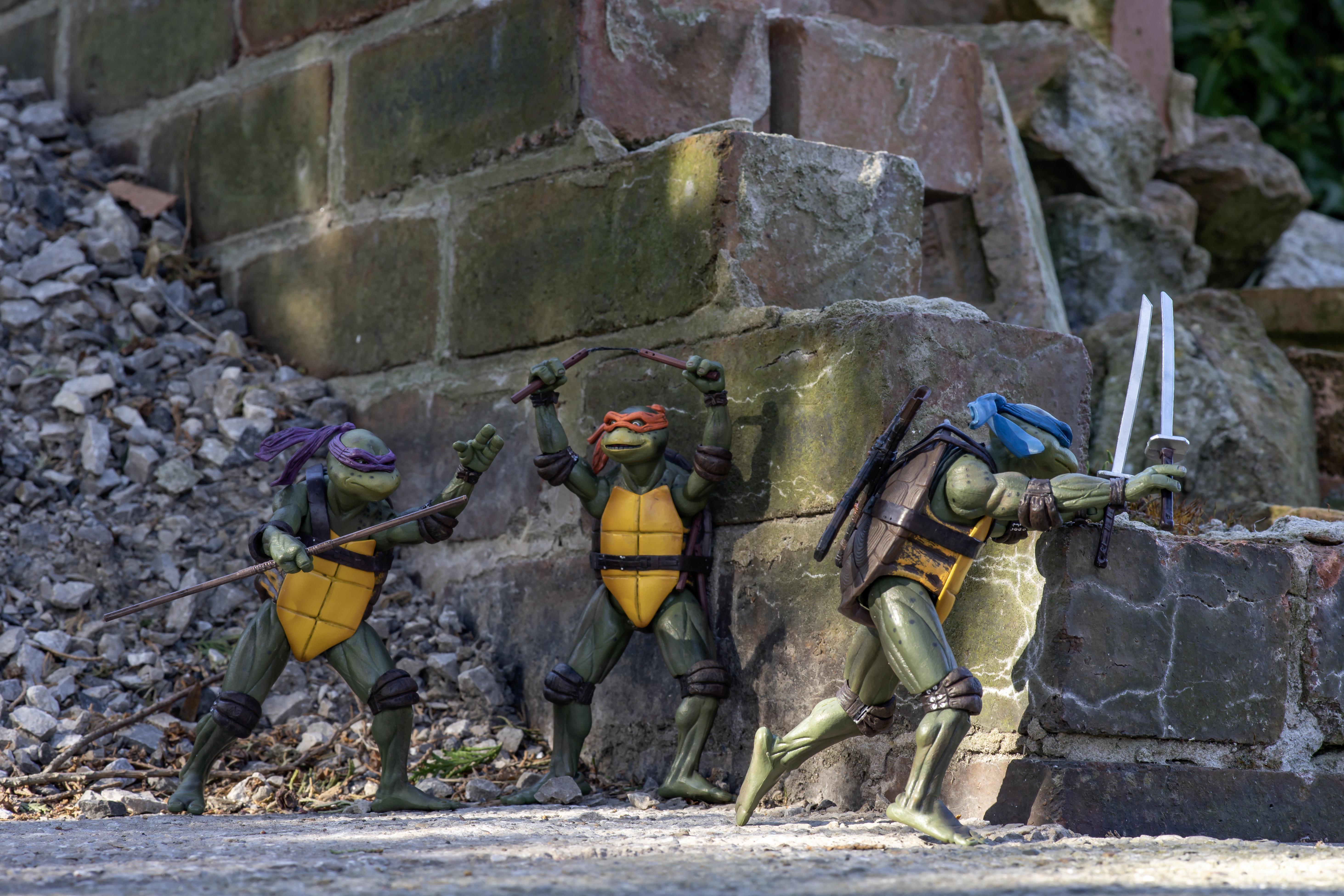 TURTLE POWER! | Scrolller