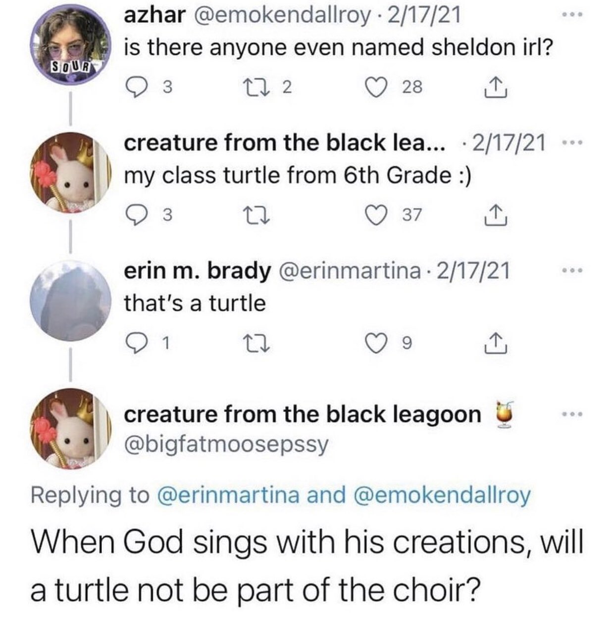 Turtles in the Choir | Scrolller