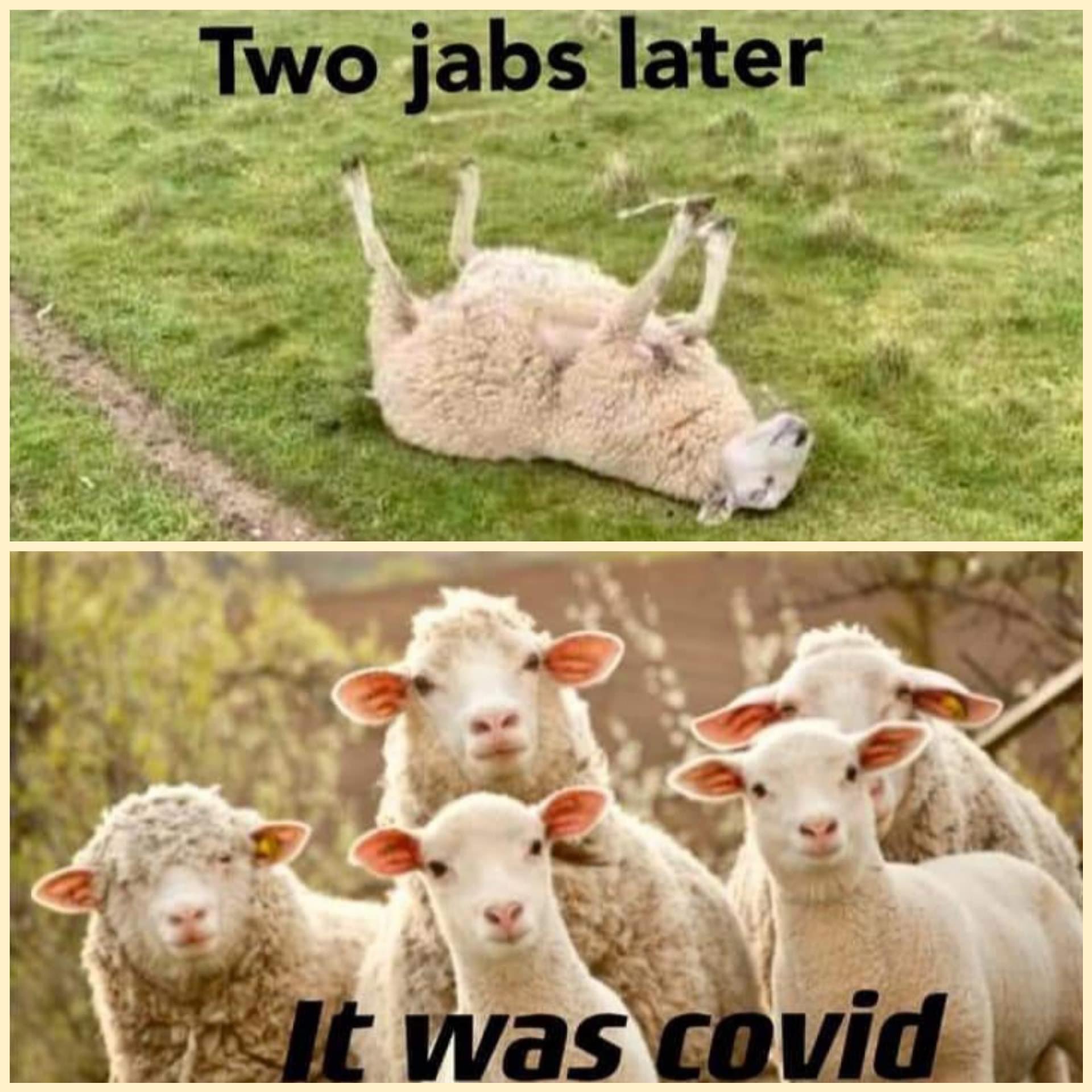 Two jabs later | Scrolller