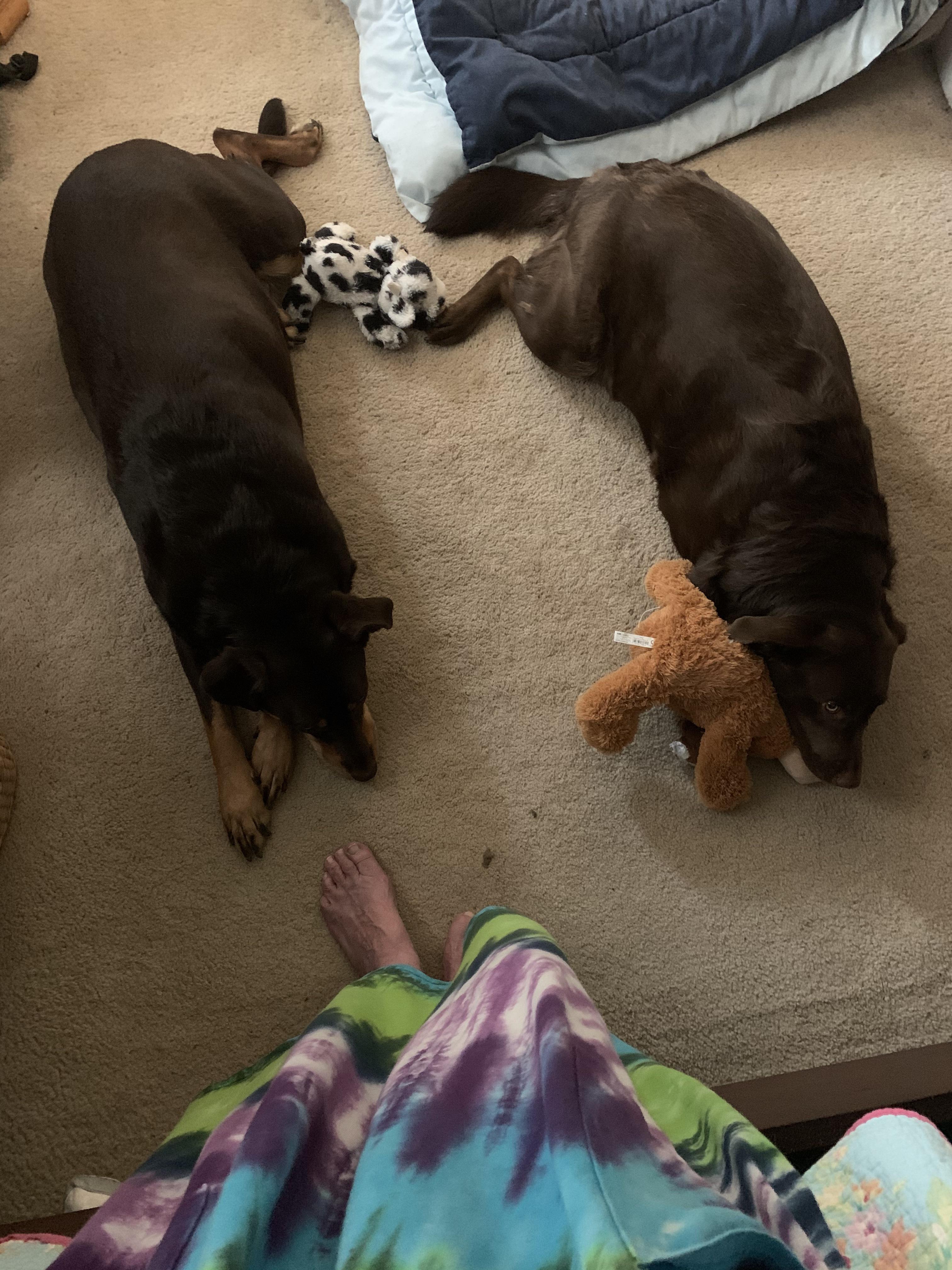 Two loaves! | Scrolller