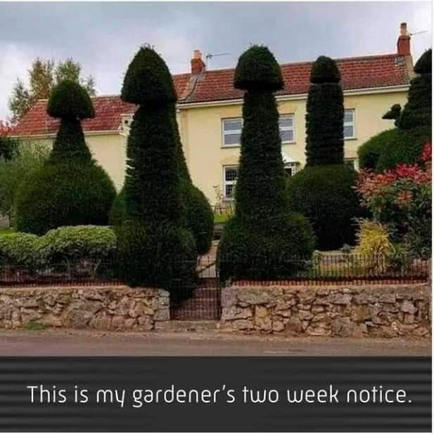 Two weeks notice | Scrolller