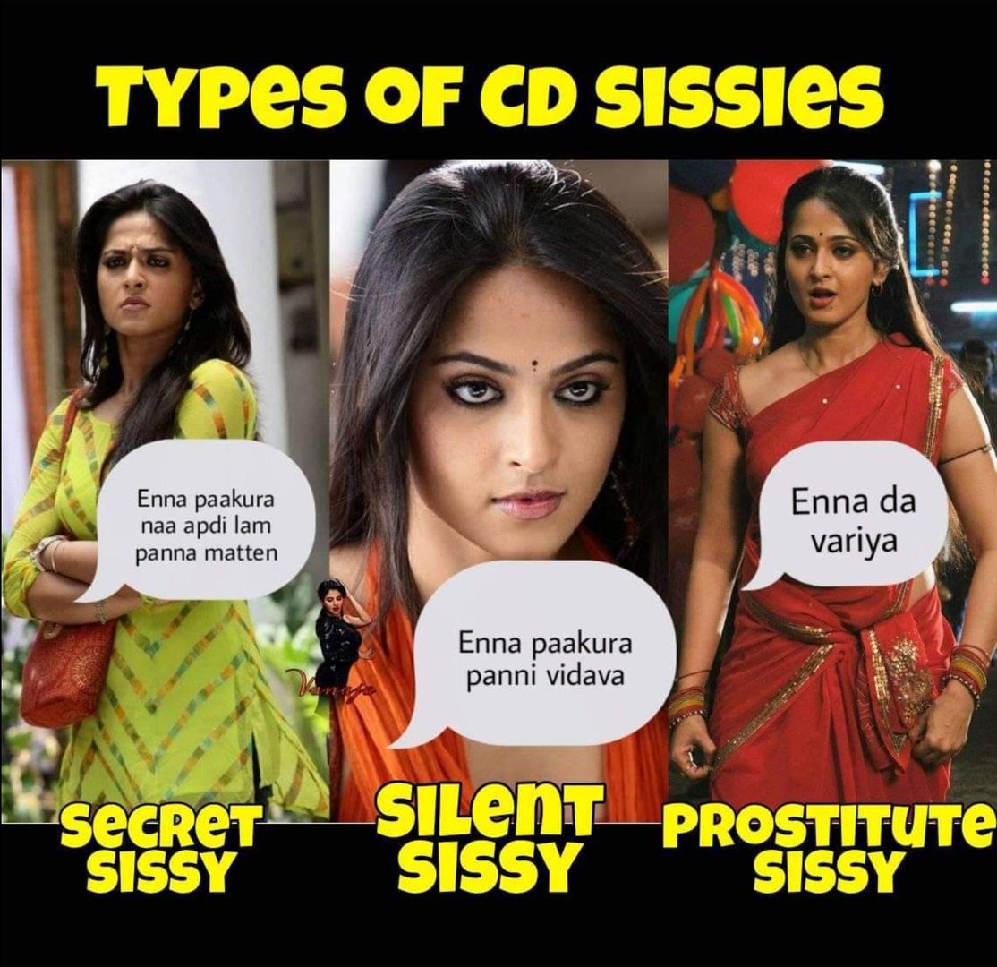 Types of sissies | Scrolller