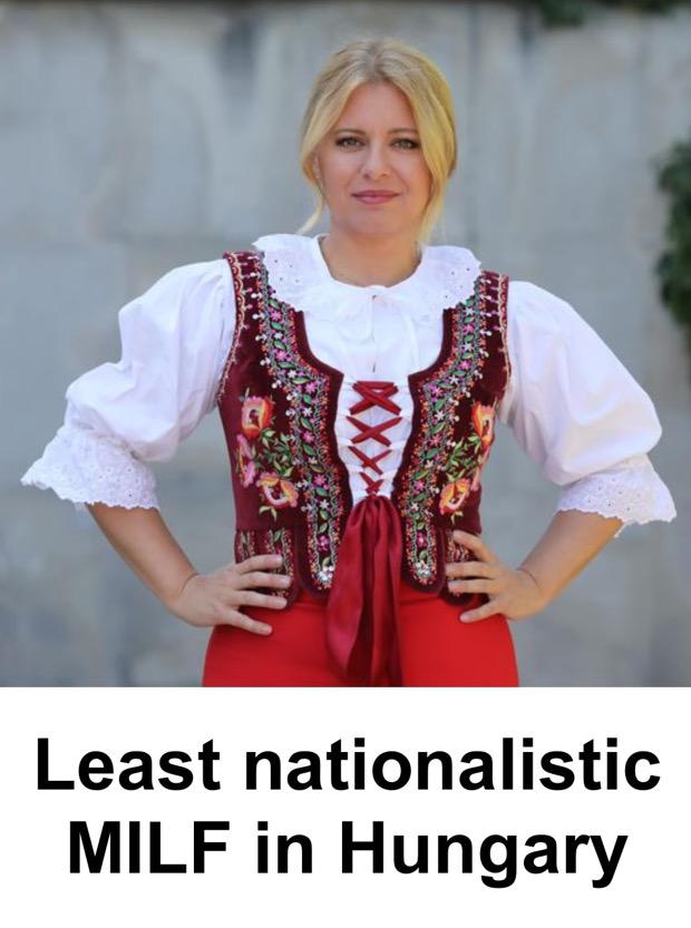 Typical V4 progressive liberal | Scrolller