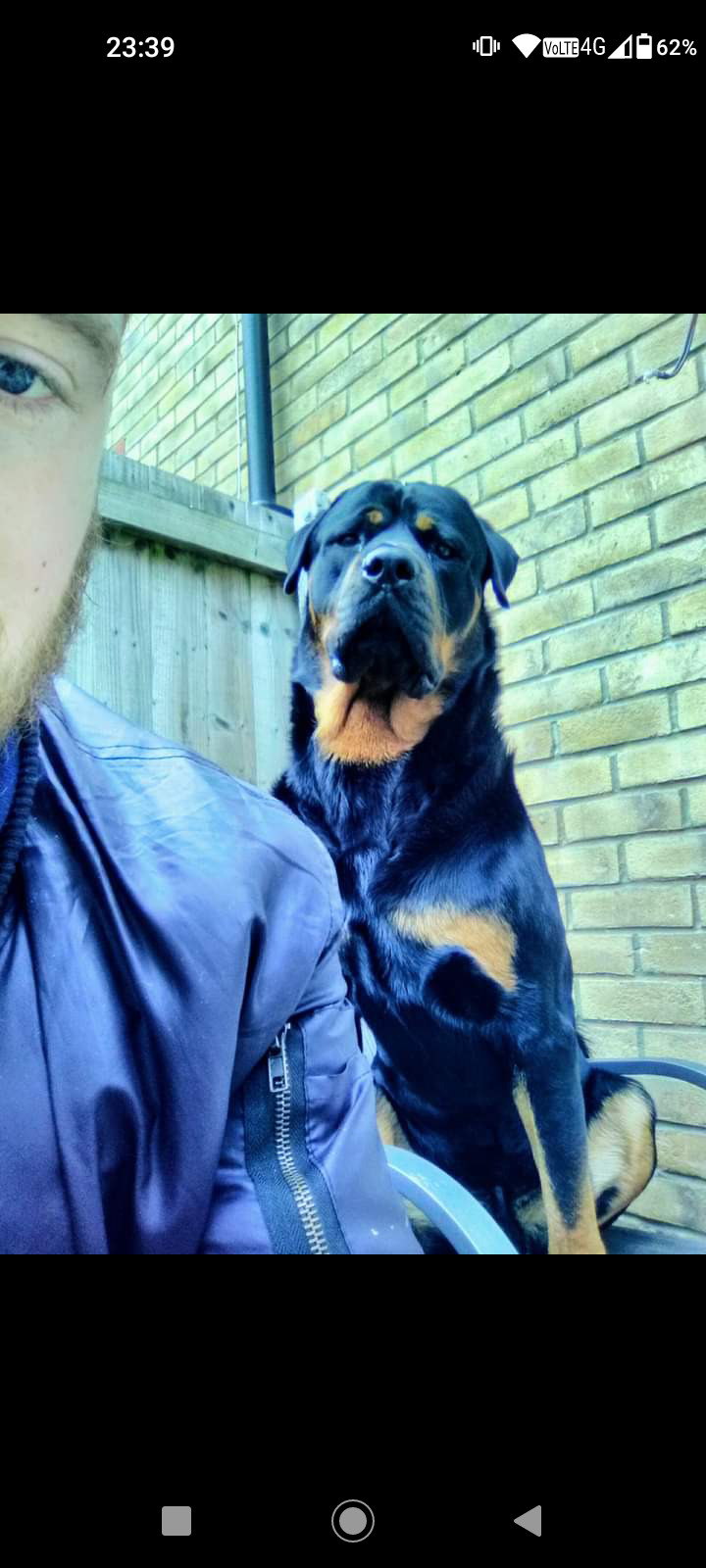 Discover more like Rottweiler: Tyson aka lord podge hit me up and let's chat dogs and things! ☺️ ...