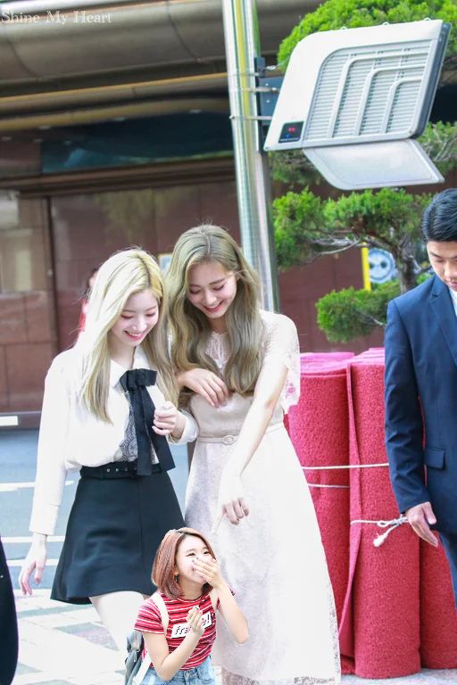 Tzuyu & Dahyun mocking Chaeyoung's height again | Scrolller