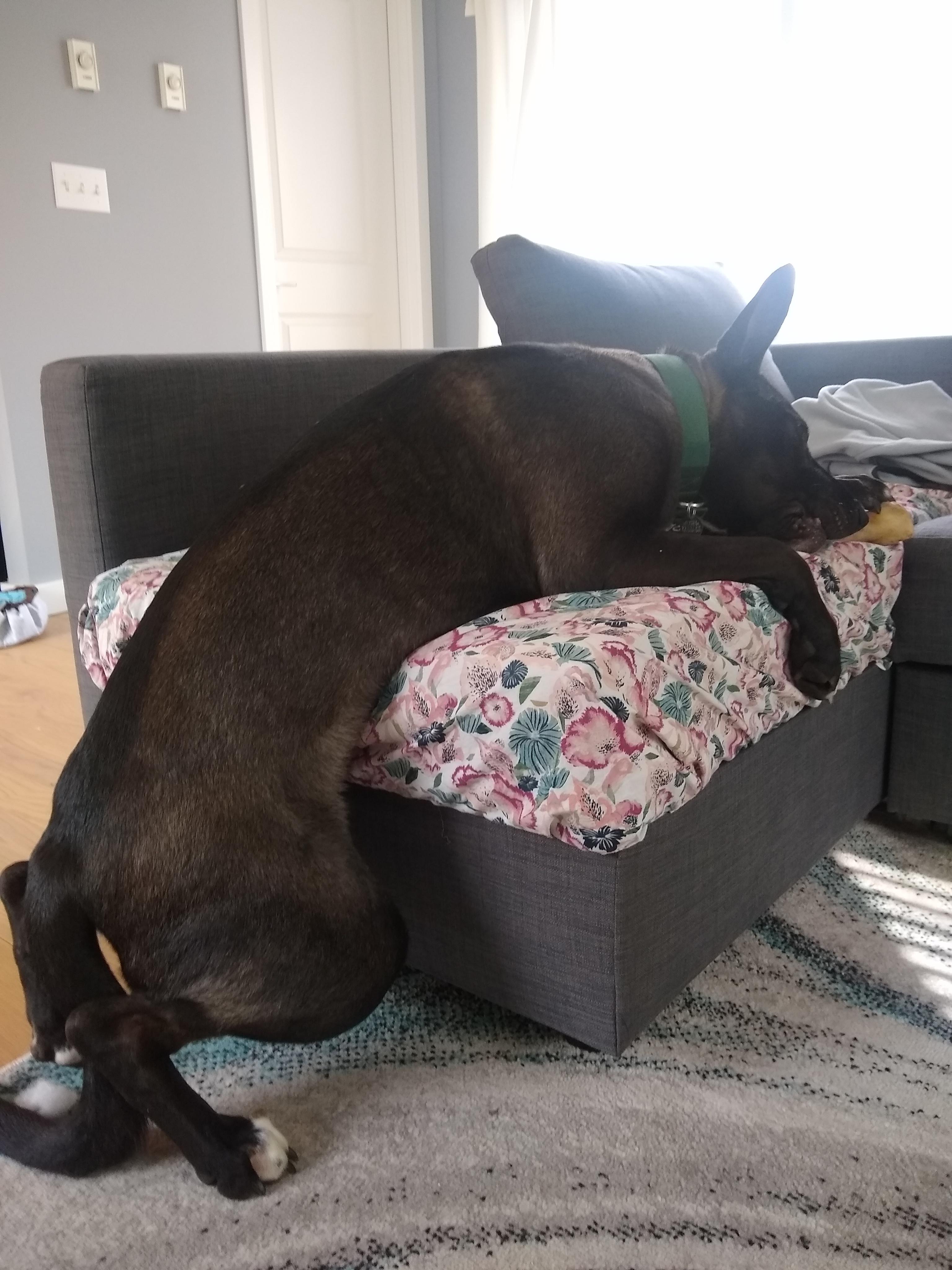 Ultimate Comfort | Scrolller