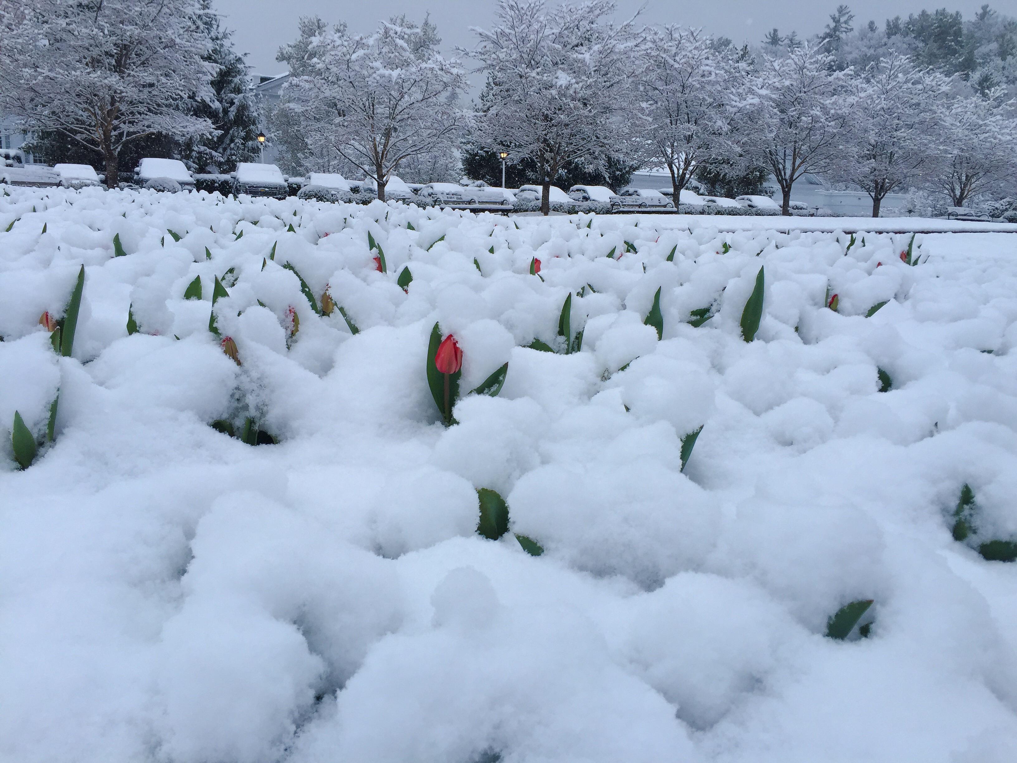 Ultimate contrast | Scrolller