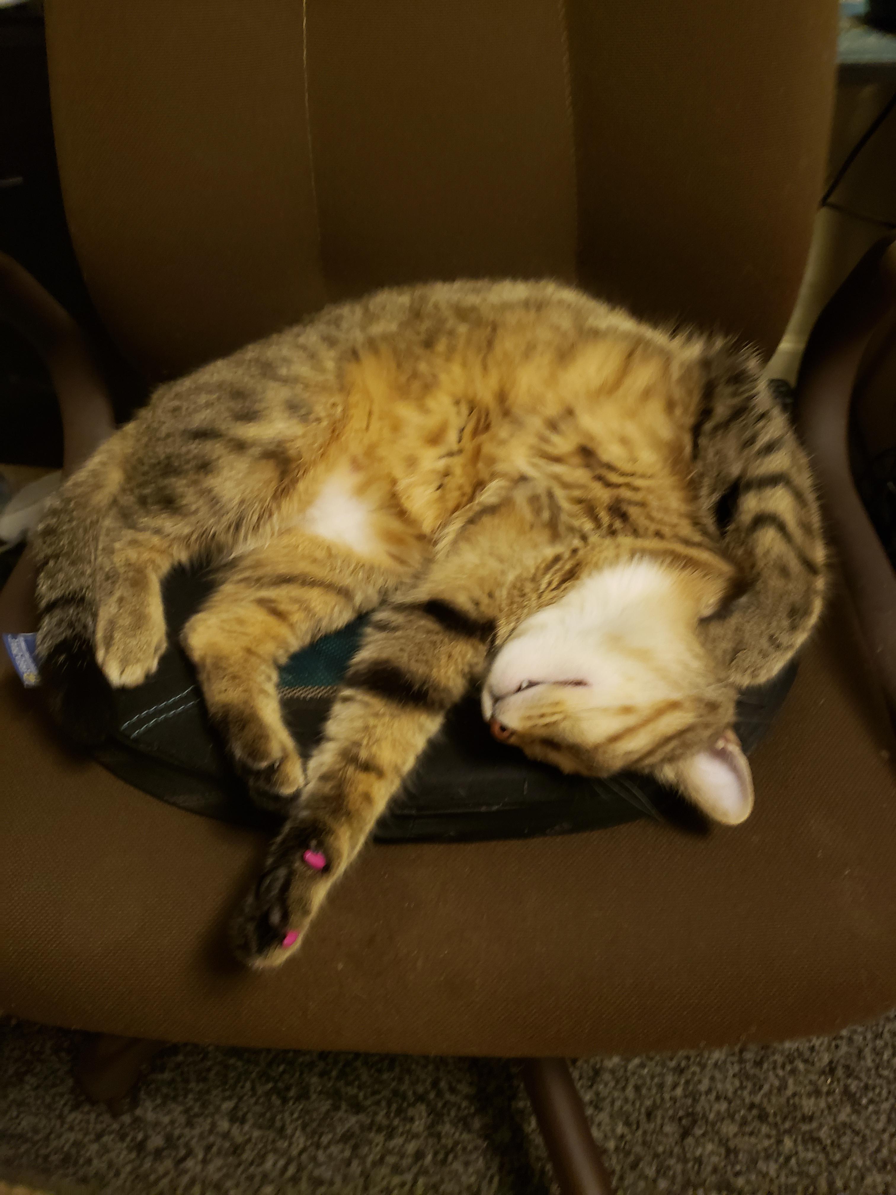 Ultimate zen | Scrolller