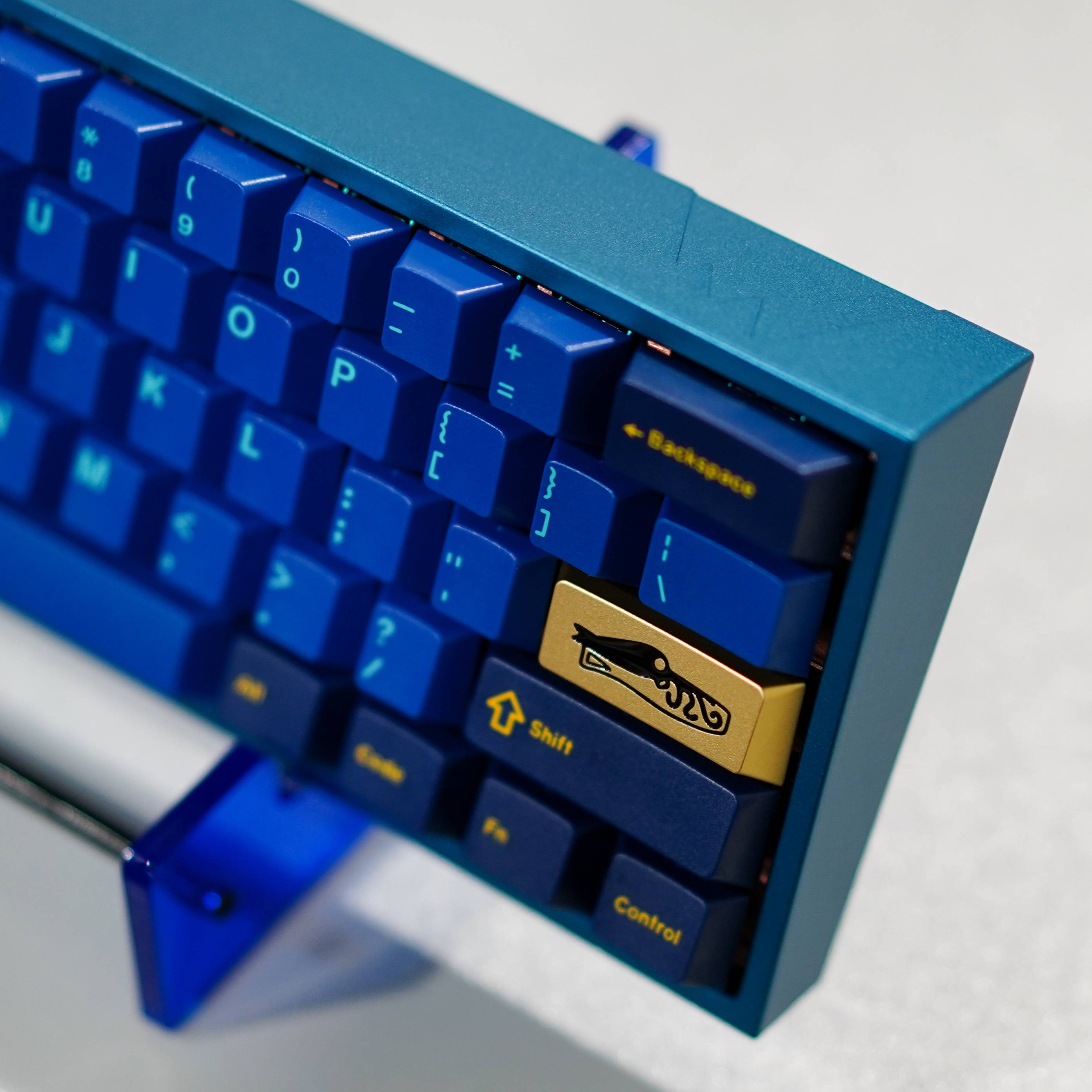 Ultramarine Nautilus | Scrolller