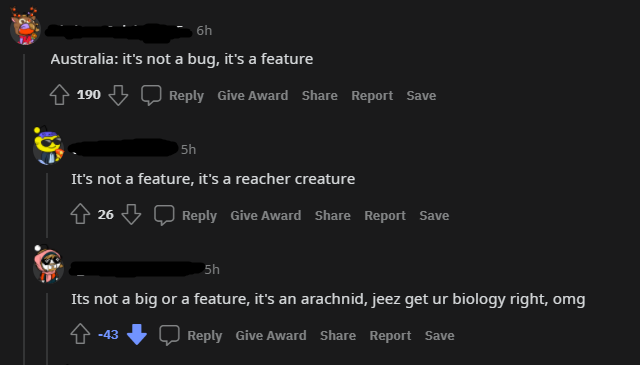 Discover more like Iamverysmart: Under a post about the australian huntsman spider and Related ...