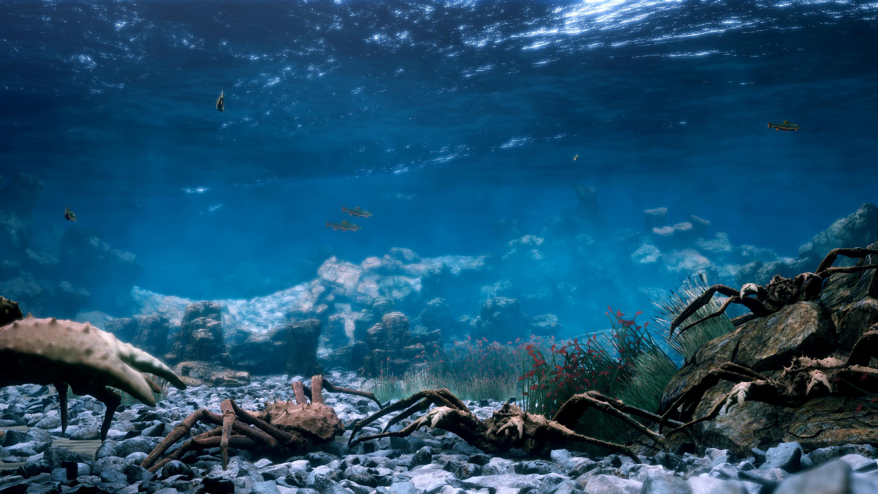 Under the Sea | Scrolller