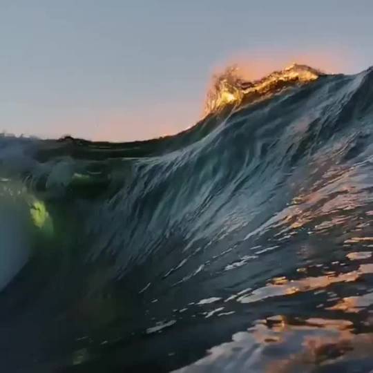 Under the wave | Scrolller