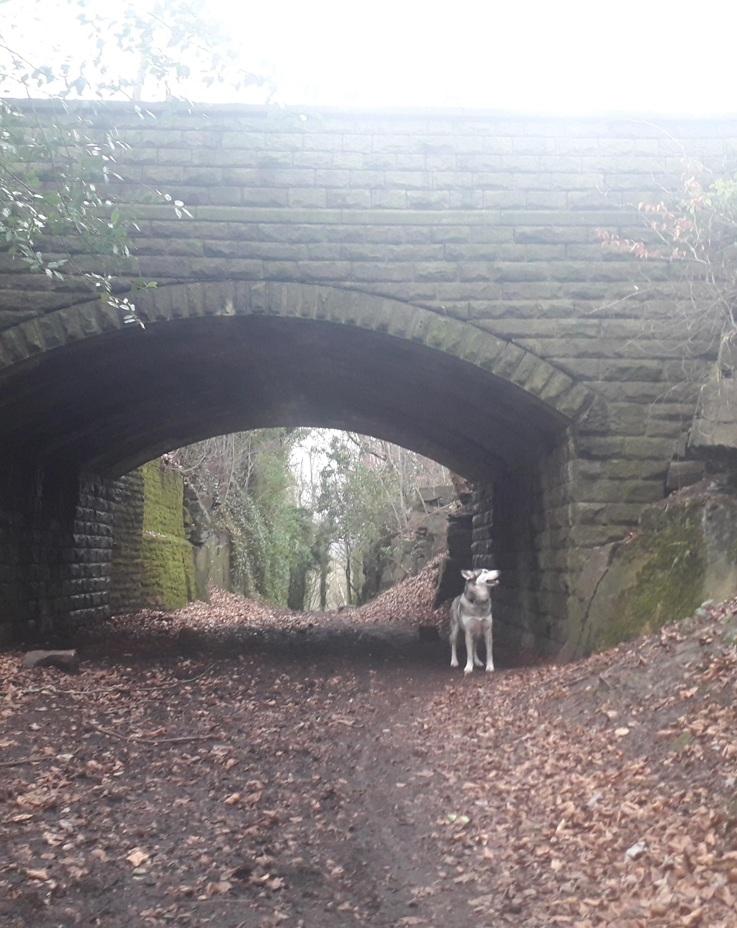 Underneath the bridge | Scrolller